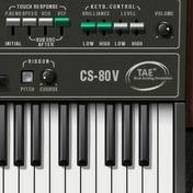 Arturia CS-80V Presets by Joel Bisson